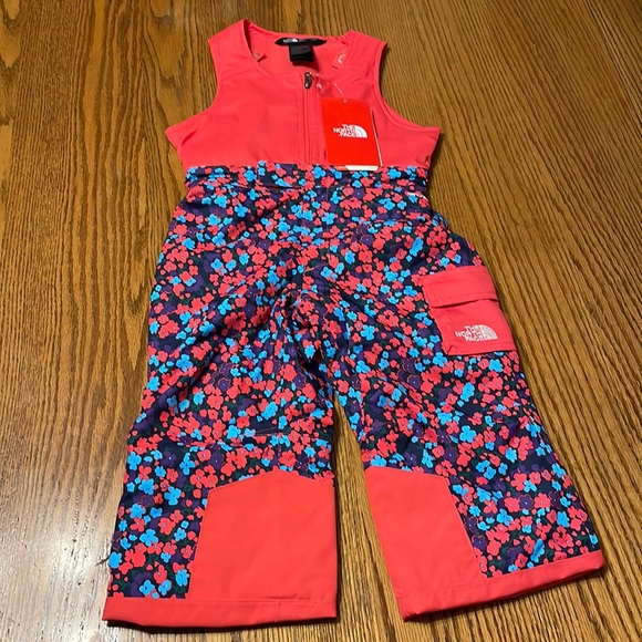 The North Face | Bottoms | The North Face Insulated Bib Overalls | Poshmark